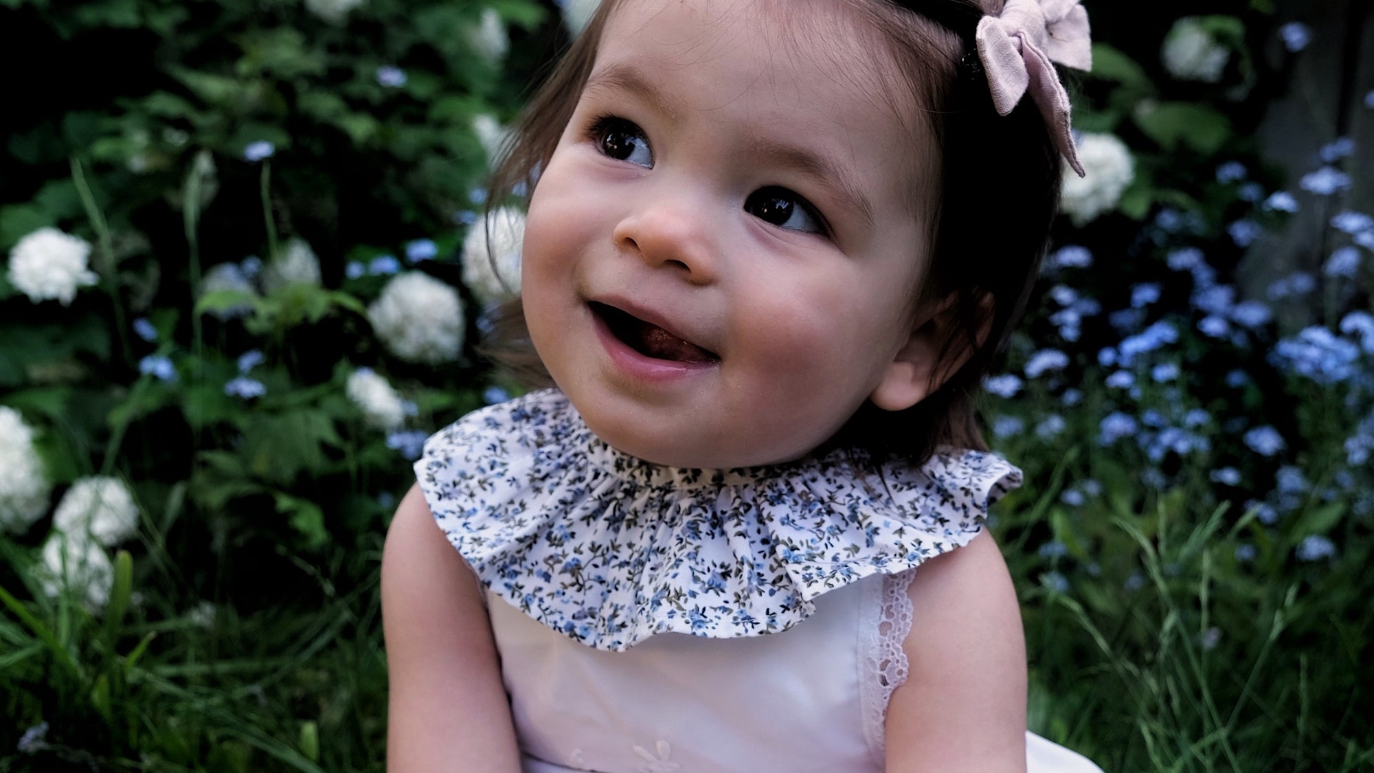 Pip & Ink – Pip and Ink